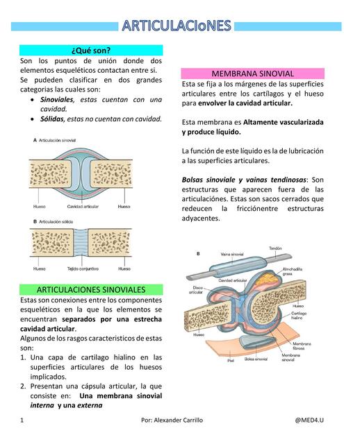 ARTICULACIÓNES | Maria | uDocz