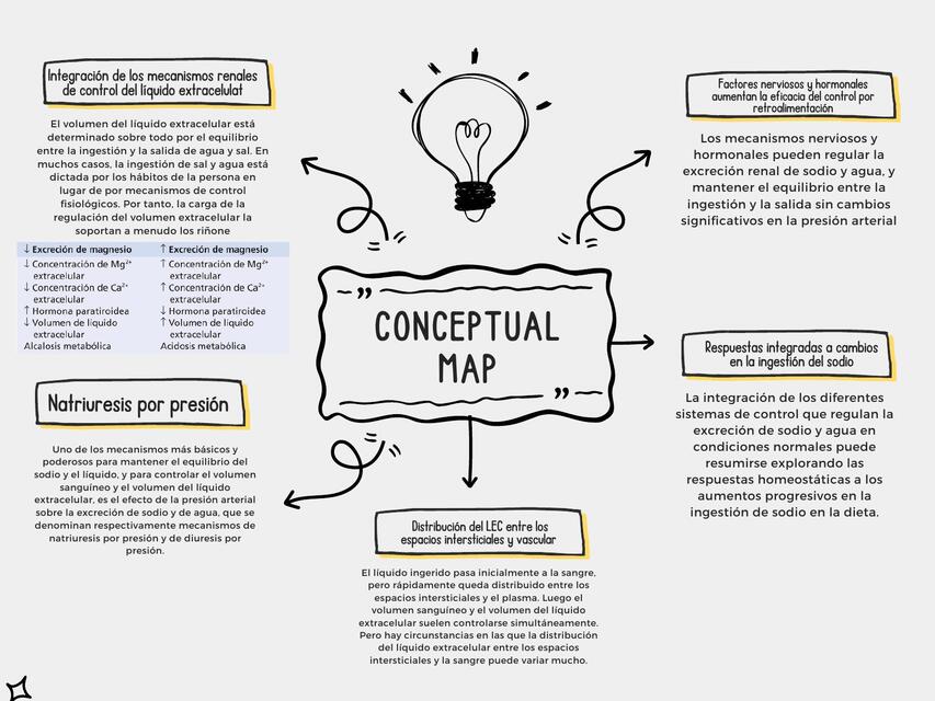 Mapa Conceptual de Fisio | Mily | uDocz