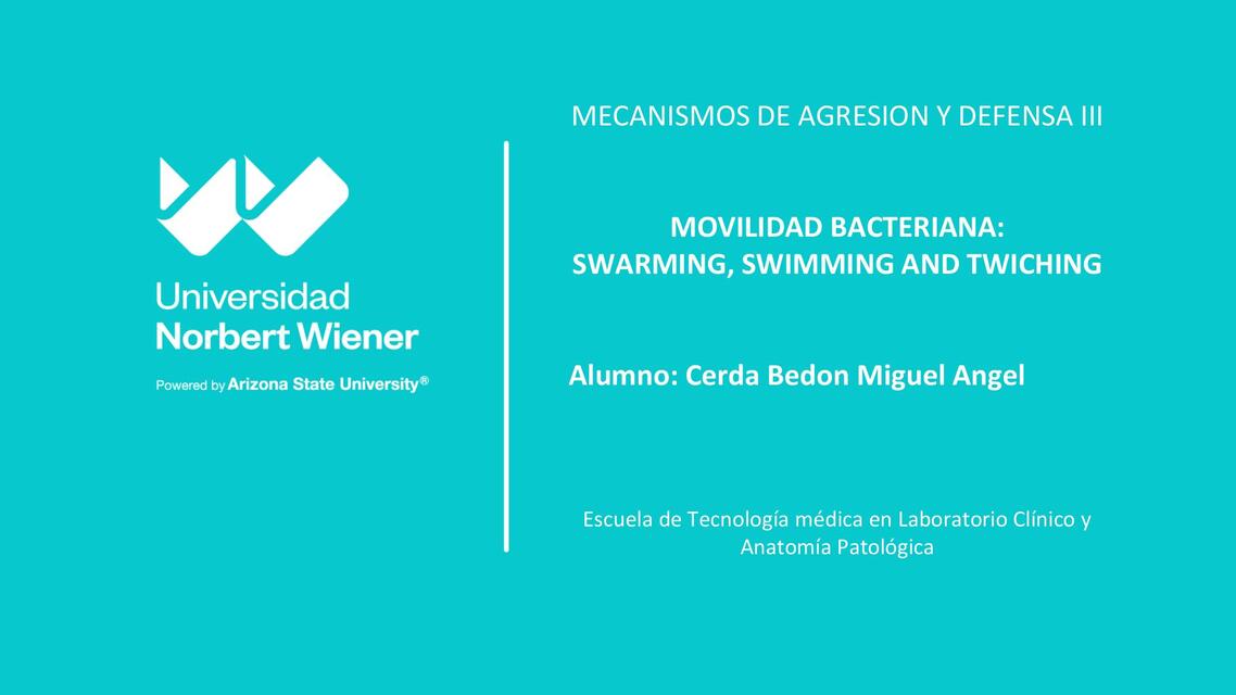 MOVILIDAD BACTERIANA SWARMING, SWIMMING AND TWICHING | Miguel | uDocz