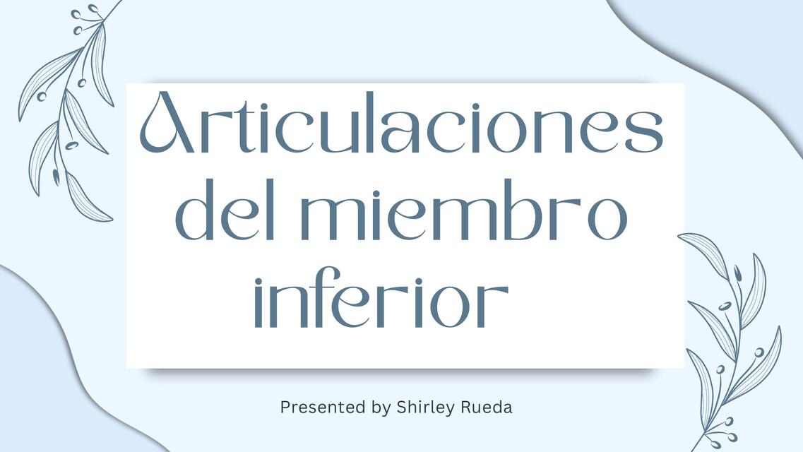 Articulaciones de la cadera | Shirley Dayana Rueda Moncada | uDocz