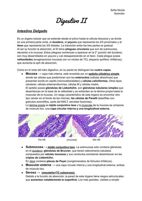 Digestivo II | sofia | uDocz
