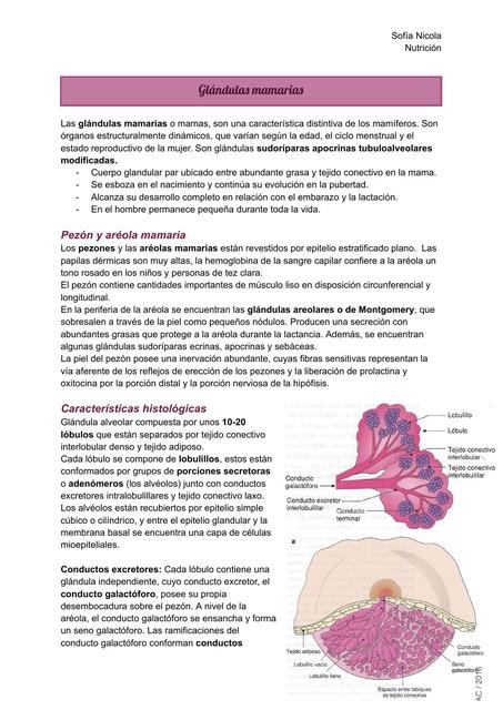 mama histo | sofia | uDocz