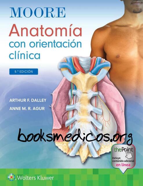 ANATOMÍA PDF | Alysson | uDocz