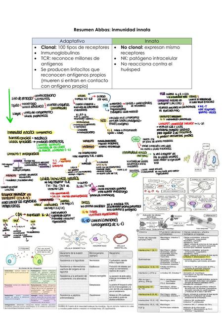 Inmunidad Innata (resumen del Abbas) | Maria Gracia Valencia | uDocz