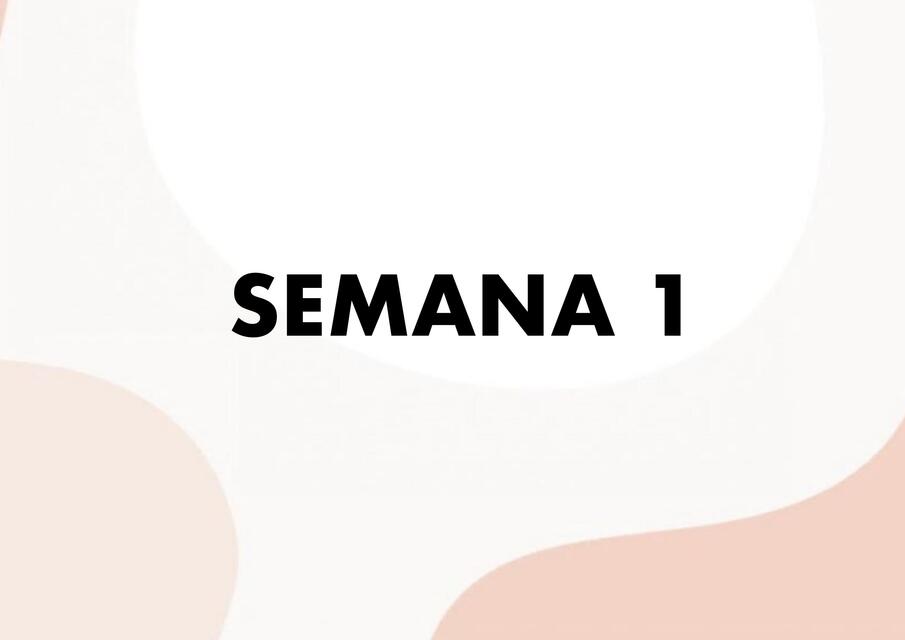 SEMANA 1 | Hayleen Yajahuanca | uDocz