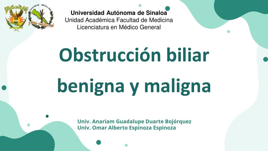 Obstrucción biliar | Daniela | uDocz