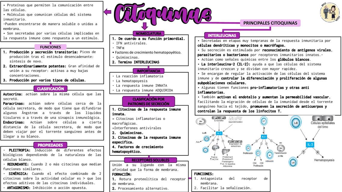 INMUNOLOGÍA I TALLER N 06 Citoquinas | Bio Notes | uDocz