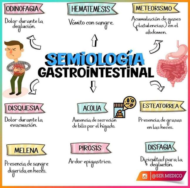 Semiología gastrointestinal | Robert Percy TTICA MAMANI | uDocz