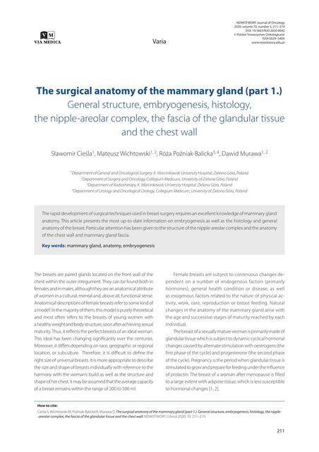 The surgical anatomy of the mammary gland (part 1.) | Grupo CAESTROSOS | uDocz