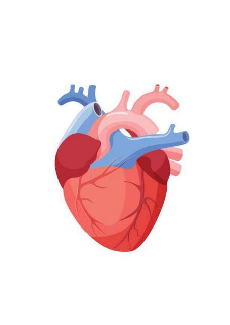 corazon | Luz Martinez | uDocz