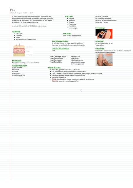 Piel Principios Clinicos | Philli | uDocz