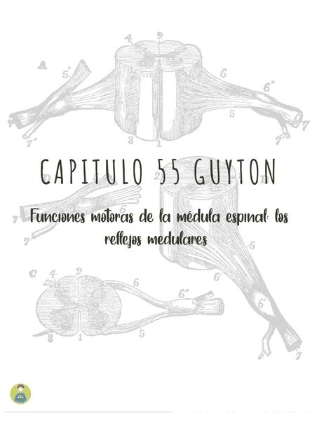 Capitulo 55 guyton resmen fisiologia cap 55 | Eudis | uDocz