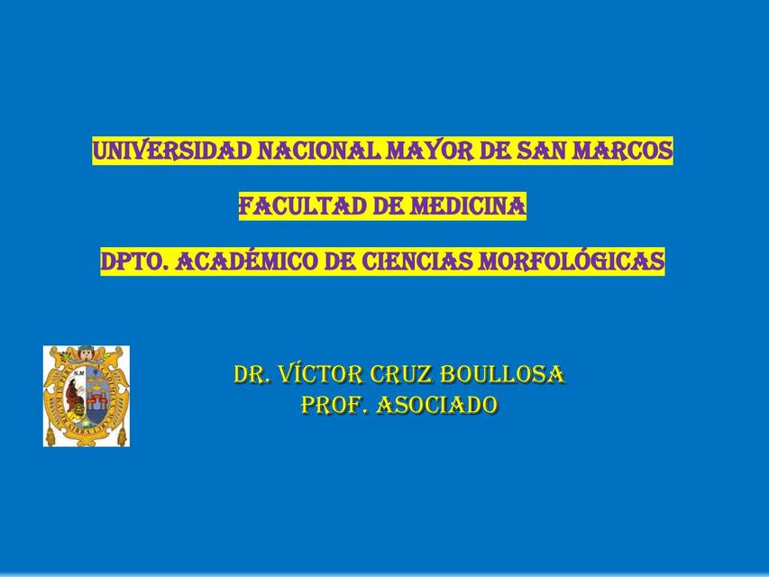 Pelvis Tatiana Nicole Udocz