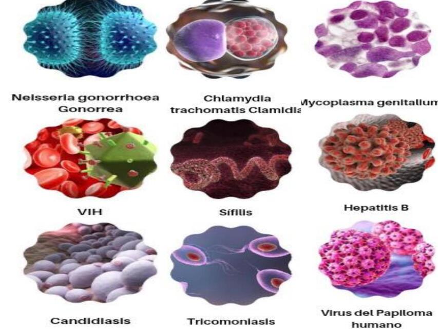 its virus | veronica | uDocz