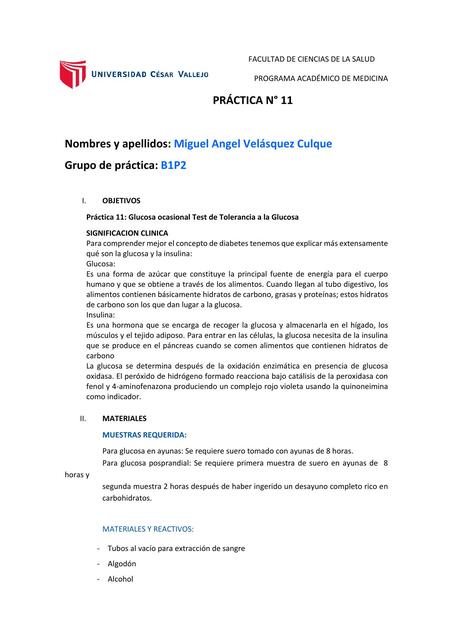 PRACTICA N 11 Miguel Velásquez Culque | Miguel | uDocz