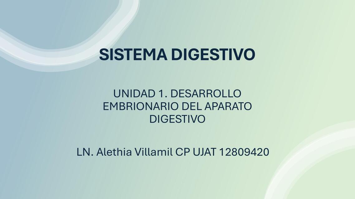 Sistema Digestivo | uDocz