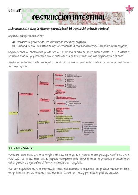 OBSTRUCCION INTESTINAL