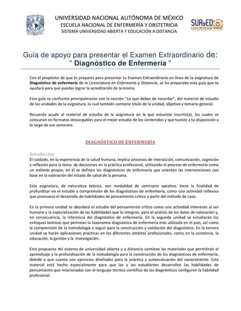 Guia Diagnostico de Enfermeria | irma | uDocz