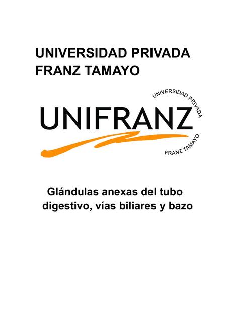 Glándulas anexas del tubo digestivo vías biliares | Shirley Dayana Rueda Moncada | uDocz
