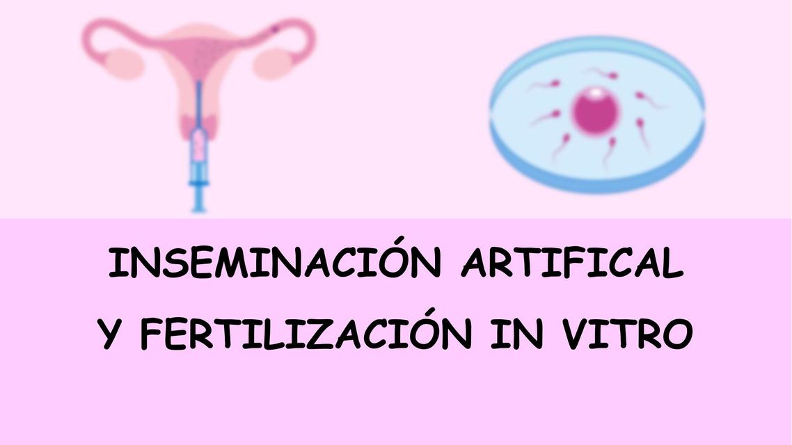 INSEMINACIÓN ARTIFICAL Y FERTILIZACIÓN IN VITRO | uDocz creators | uDocz