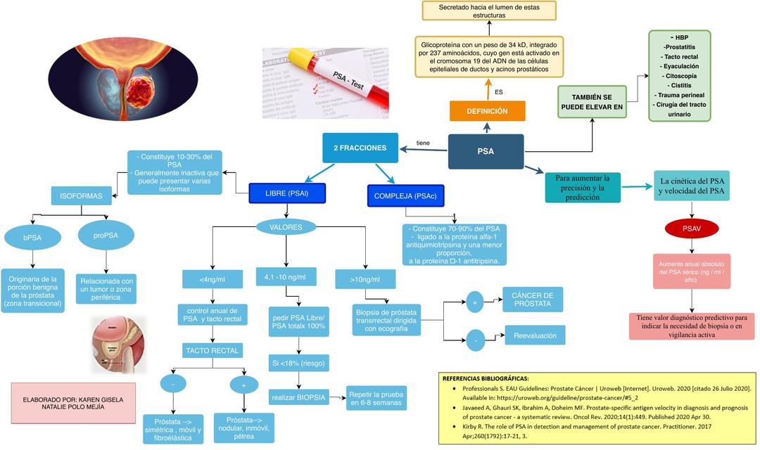 PSA Test | Uptodate Free | uDocz