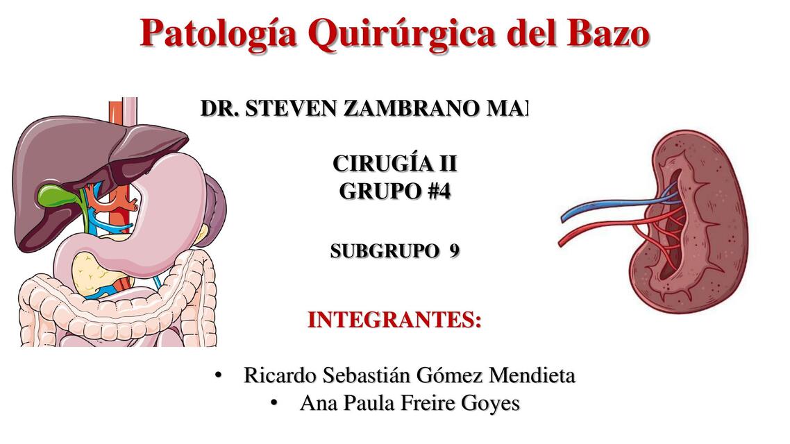 Patología Quirúrgica del Bazo | Ana Paula | uDocz