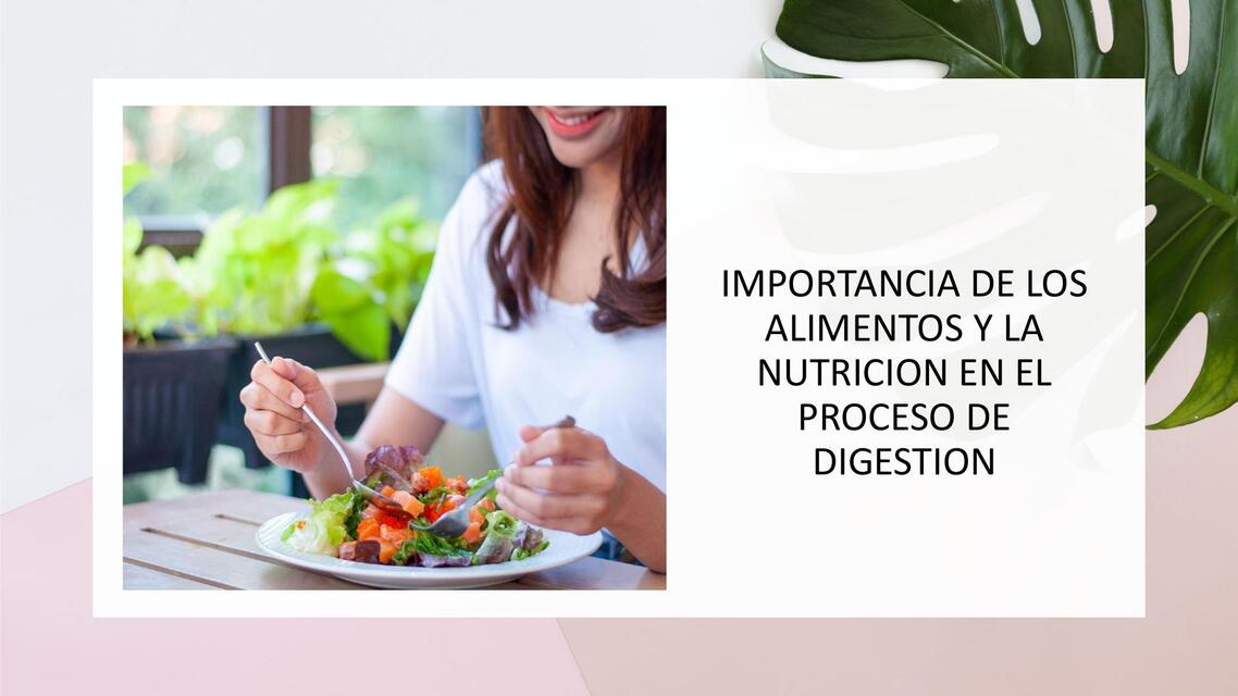 Importancia de los alimentos y la nutrición en la Digestión | Bethel Heredia | uDocz