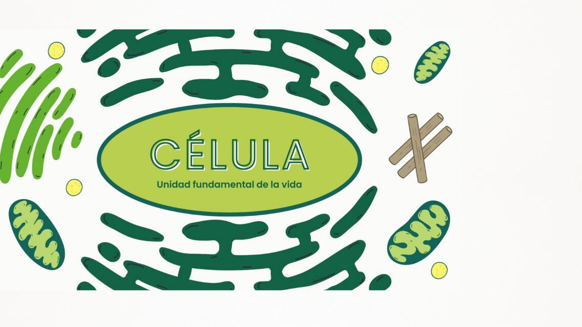 LA CELULA | Sol | uDocz