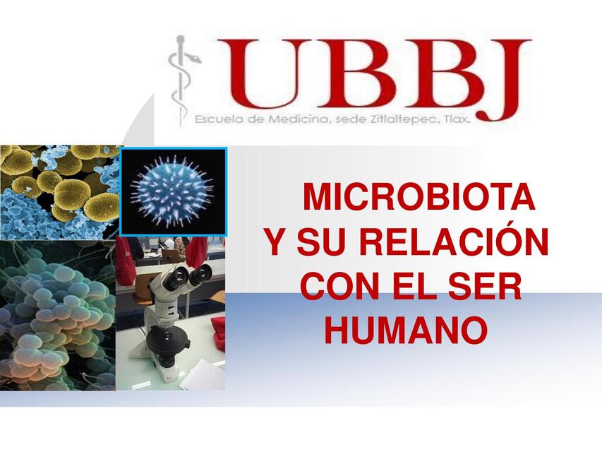 Microbiota y su RSH Semana 2 1 | Yair Velázquez | uDocz