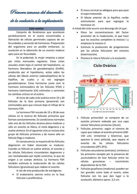 Resumen cap 3 | Enzo | uDocz