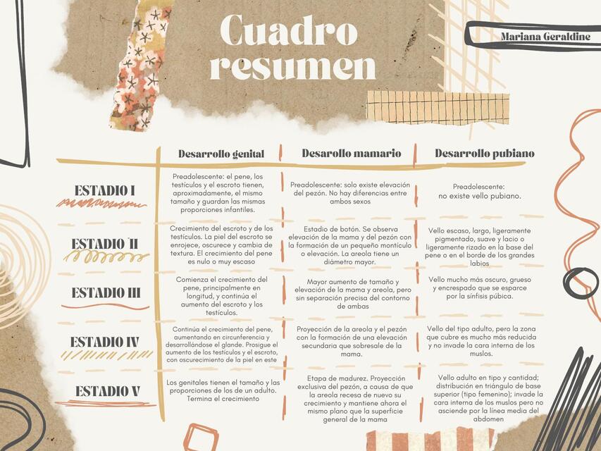 Cuadro resumen | Mariana Geraldine | uDocz