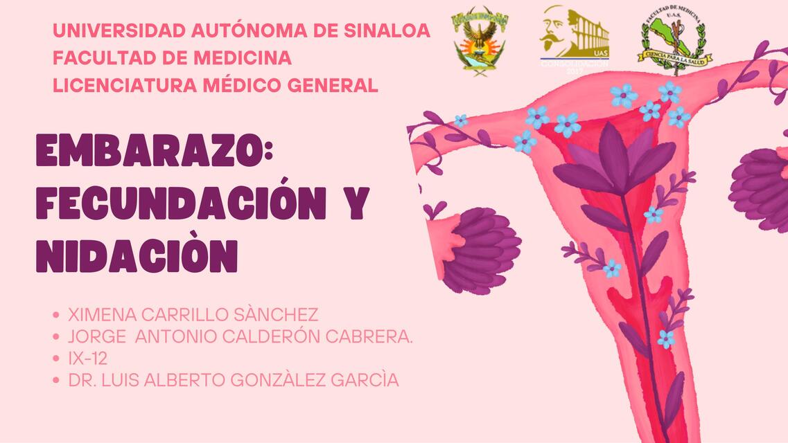 Fecundación y nidación IX 12 | Angulo peiro Fidel uvaldo | uDocz