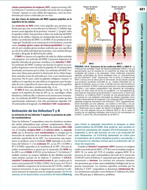 LIBRO DE HISTOLOGIA ROSS | Rodrigo | uDocz