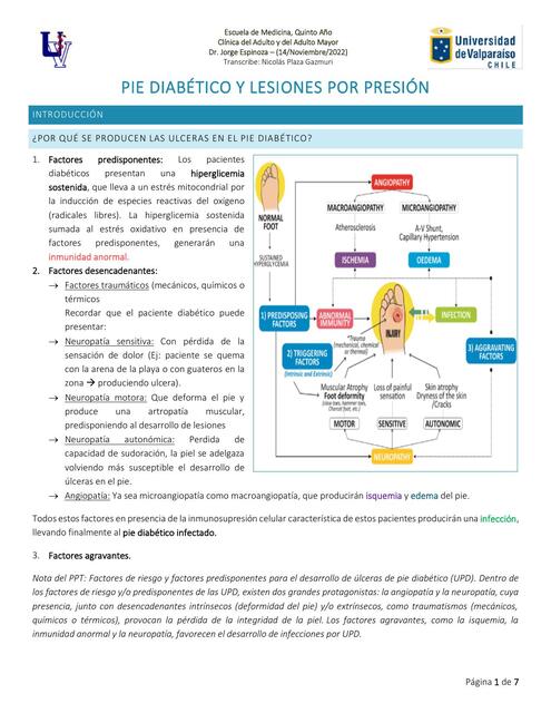 09 Pie Diabético y Lesiones por Presión | MAGALY CLARA | uDocz