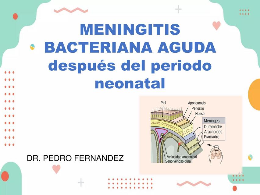 Meningitis bacteriana aguda | Helen Monica Alvarez Quispe | uDocz