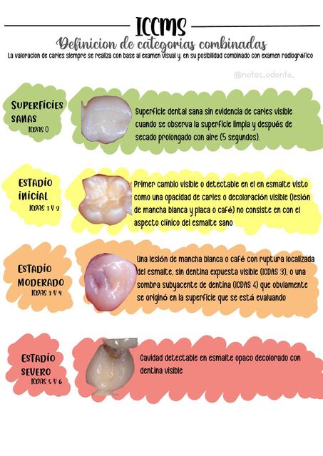 ICMMS | María Hernández | uDocz