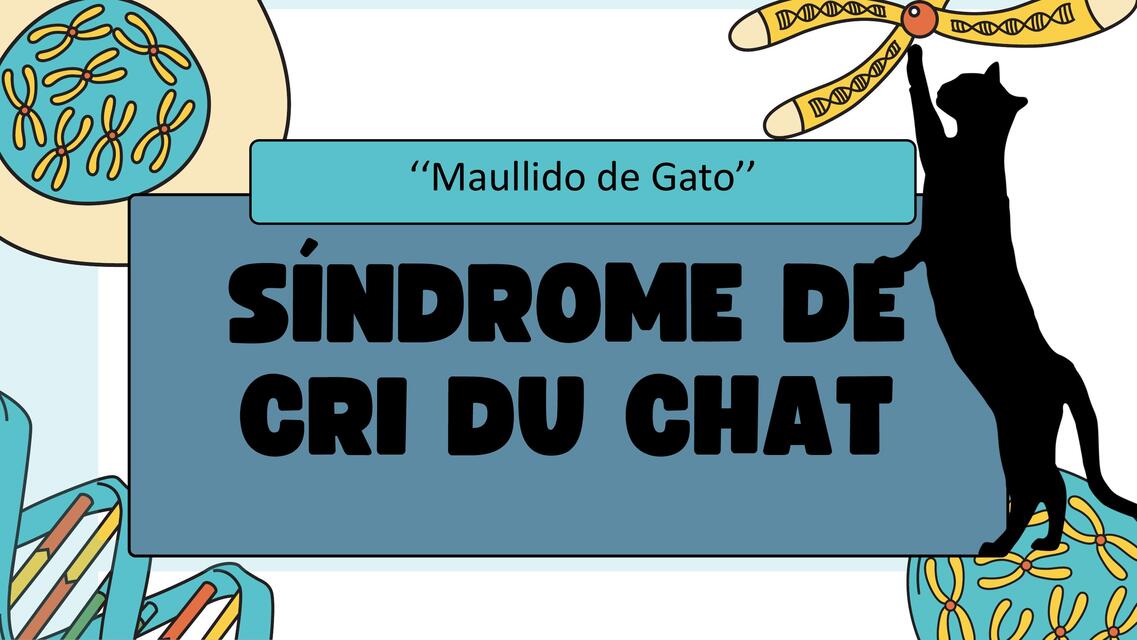 SINDROME CRI DU CHAT | Fabiola | uDocz