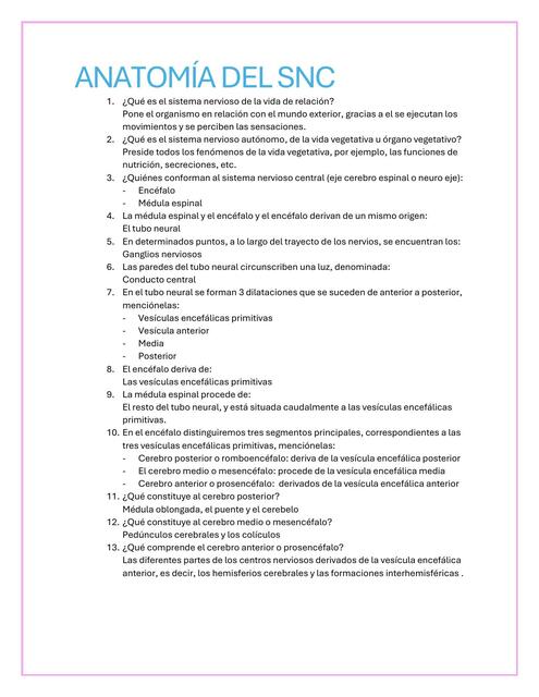 Anatomía del SNC | Philli | uDocz