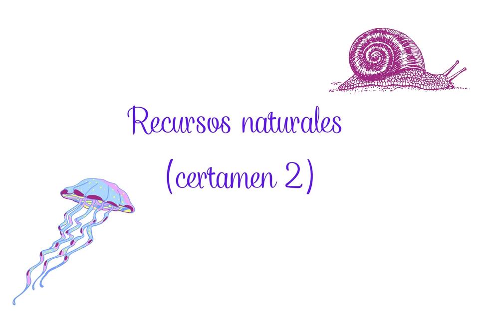 Recursos naturalescertamen 2phylum | Catalina | uDocz