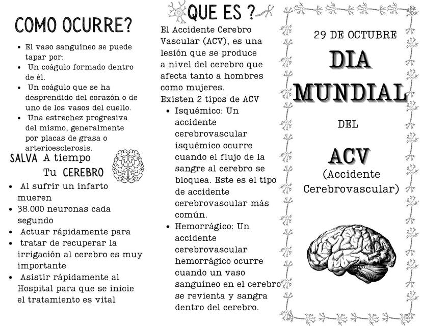 ACV tríptico | Tania Lorena | uDocz