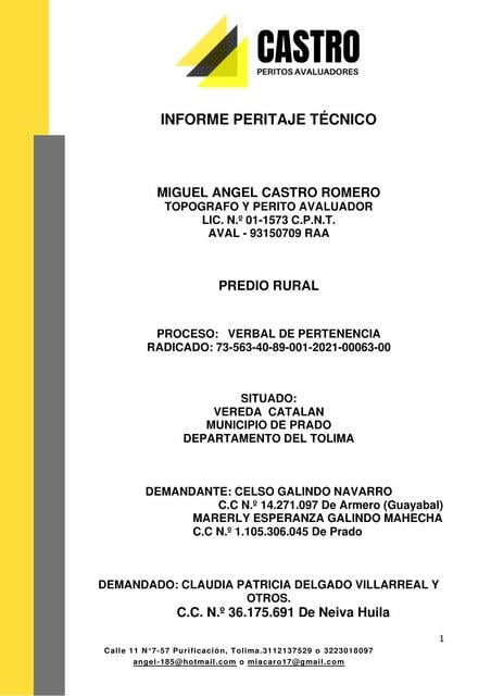 EJEMPLO DE INFORME DE UN TOPOGRAFO PERITO | Ingeniería Civil | uDocz