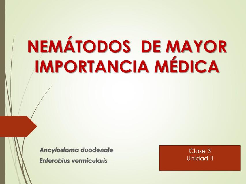 clase 3 Nematodos II | Brenda Arely | uDocz