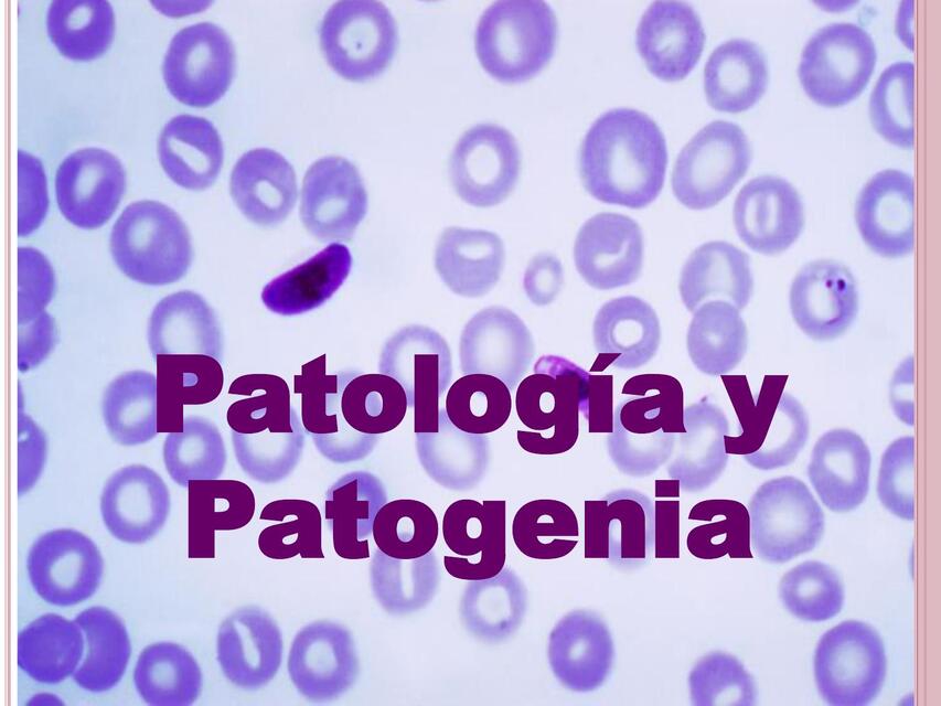 1 Plasmodium parte II | Brenda Arely | uDocz