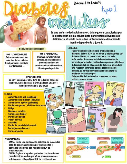 Flashcards de Diabetes Mellitus Tipo 1 Inmuno | Por Dibanhi | uDocz