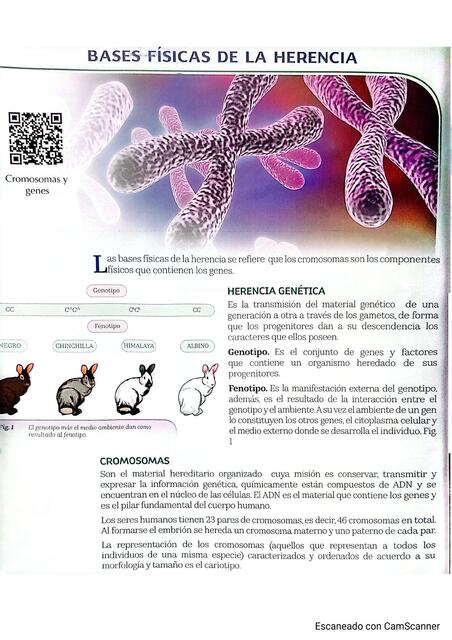 herencia y genetica | Sergio Quispe | uDocz