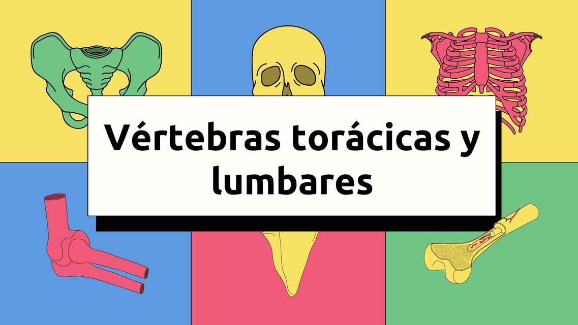 ANATO EXPO columna | Estrella | uDocz