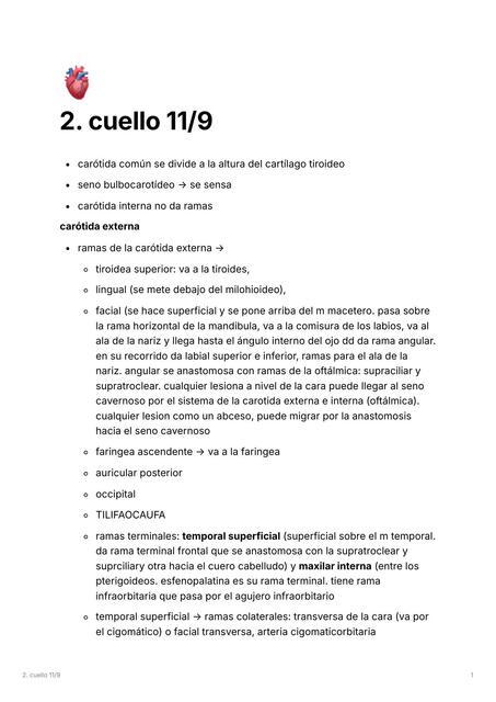 cuello | Rocio | uDocz