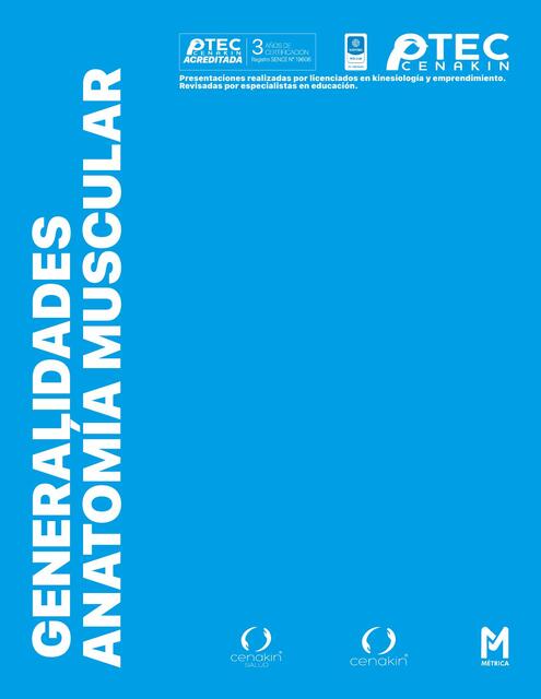 Flashcards de anatomia general compressed | Por constanza | uDocz