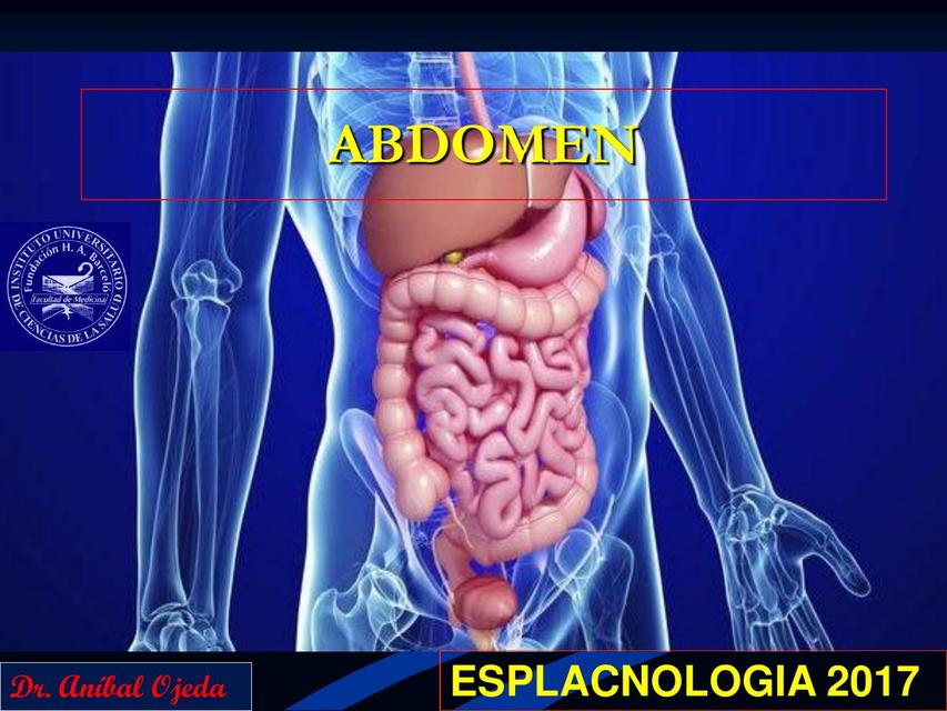 ABDOMEN | Apuntes y Resúmenes médicos | uDocz