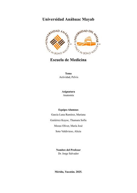 Ada Pelvis Alicia Udocz